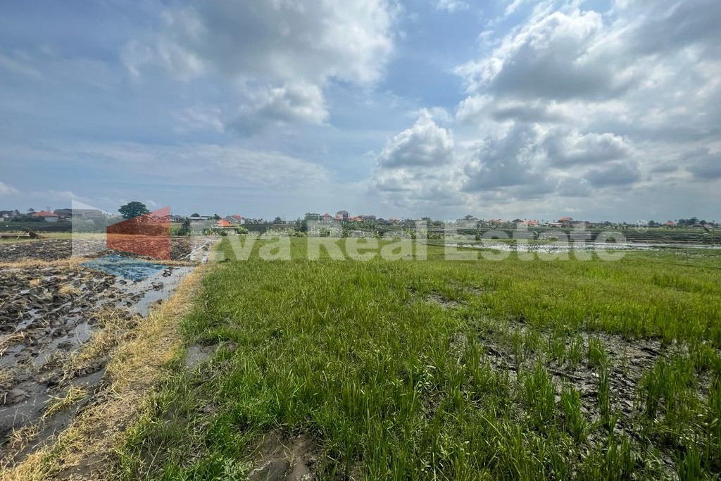 Beautiful Land with Amazing Views - Eva Real Estate